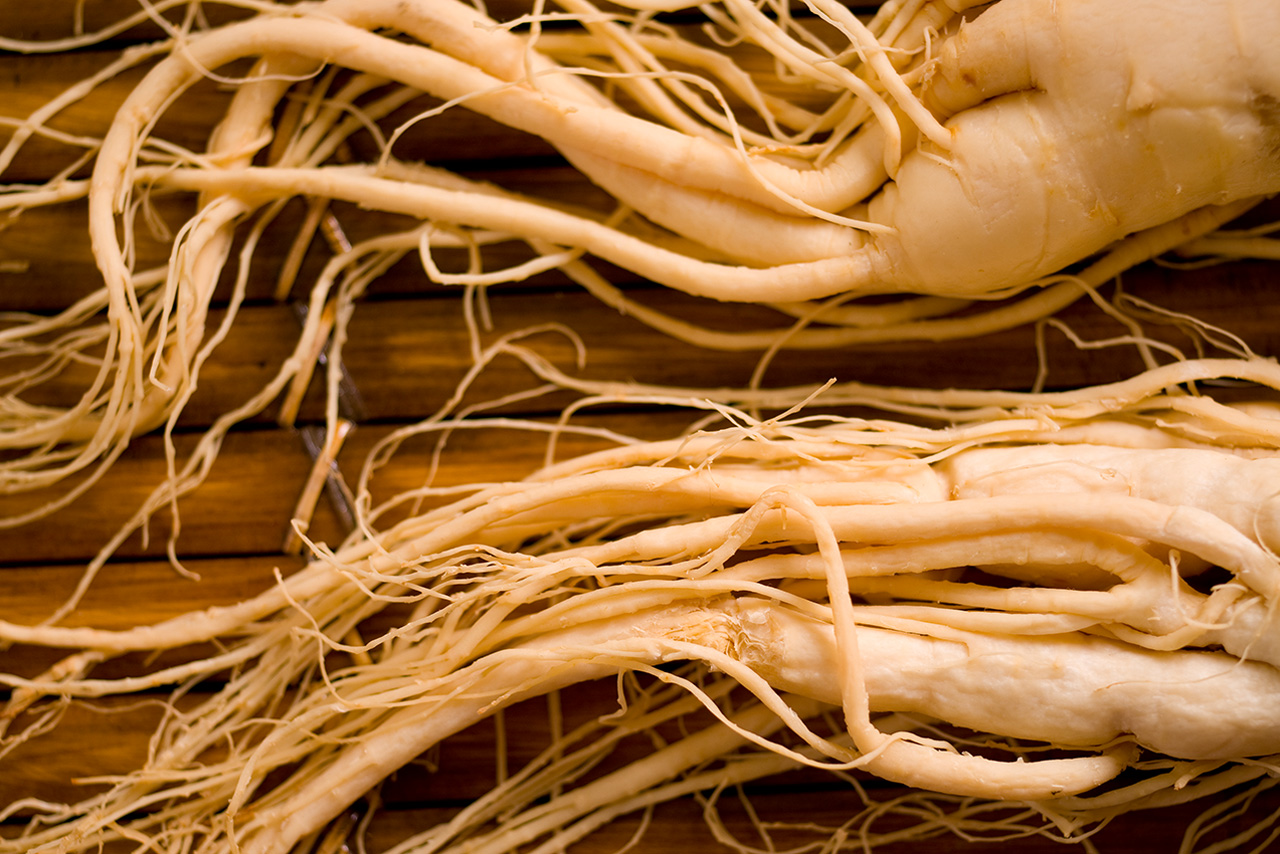 gintec_ginseng - Roter Ginseng von Gintec